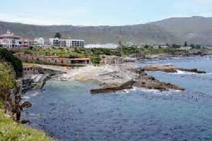 Hermanus Information and Town Guide